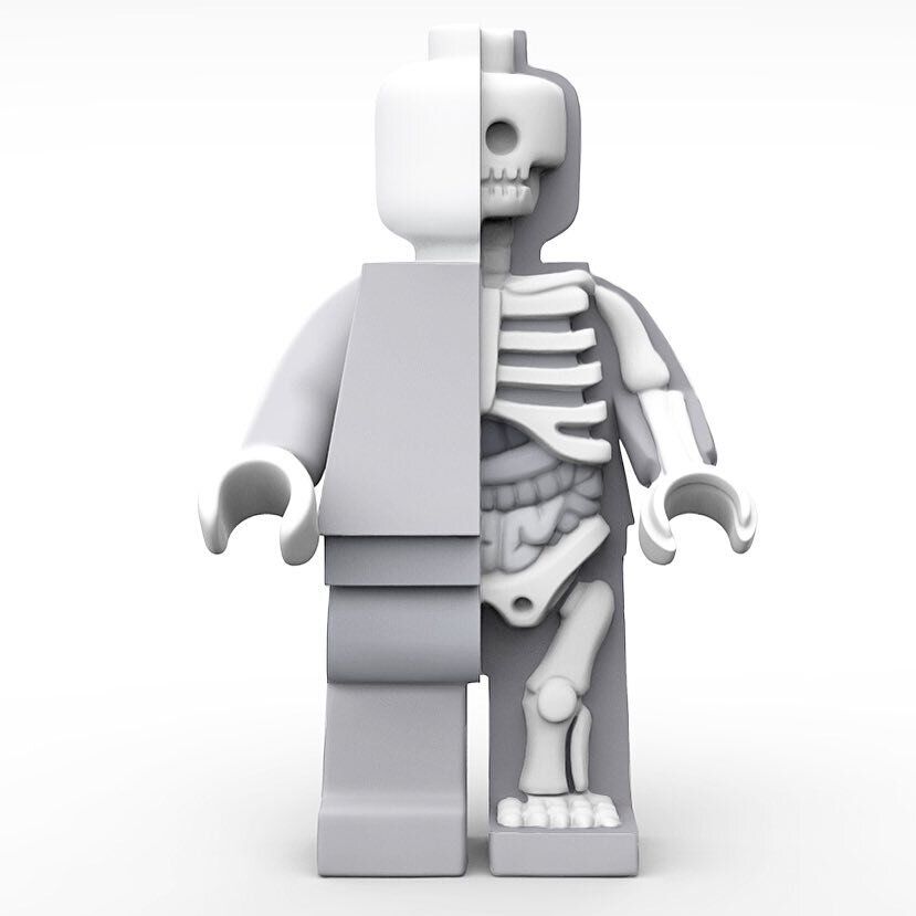 Micro Anatomic Anatomy Mini Fig By Jason Freeny x Mighty Jaxx - The Toy ...