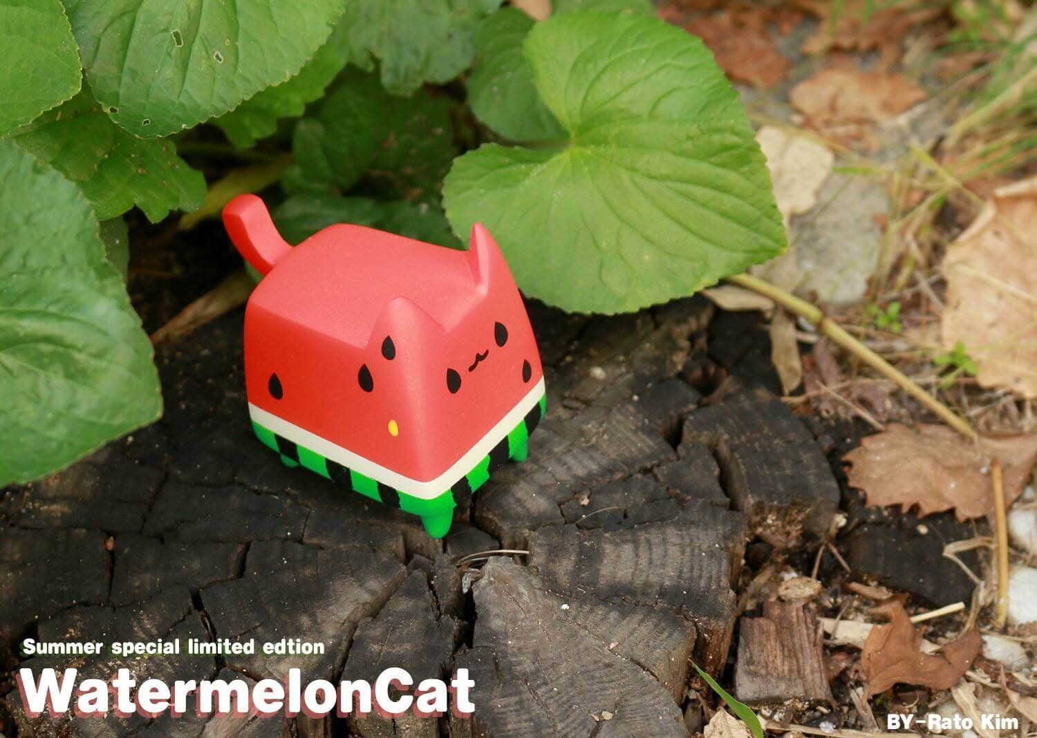 The Boxcat WatermelonCat By Rato Kim - The Toy Chronicle