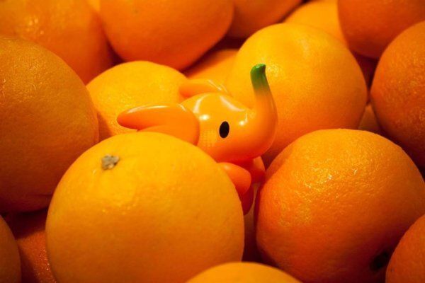 Elfie SSF Orange By Greenie & Elfie x Unbox Industries - The Toy Chronicle