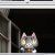 Kweeny Toshi Neko Series By Clogtwo x Mighty Jaxx - The Toy Chronicle