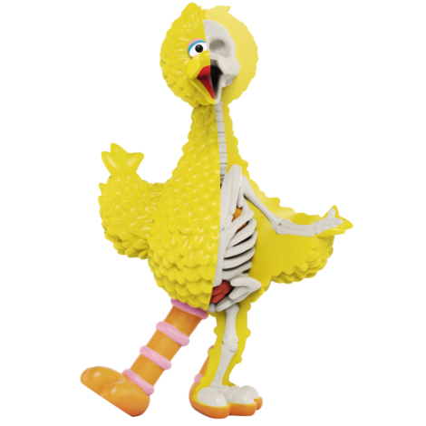 Sesame Street Big Bird XXRAY Plus By Jason Freeny x Mighty Jaxx - The ...